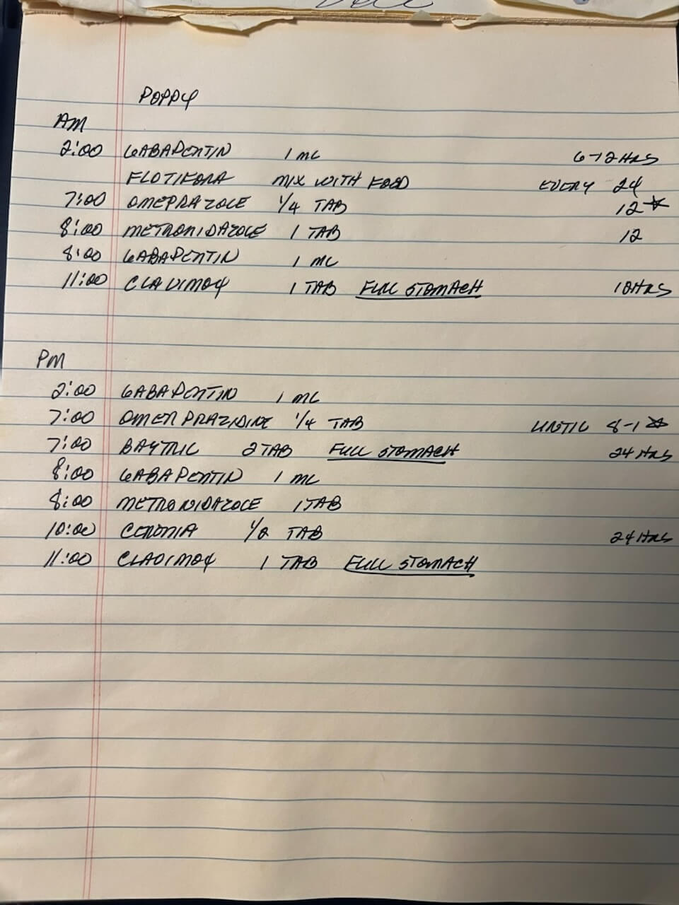 Poppy Is Home With Her Foster Dad and Her Sister! God Gave Us Another ...