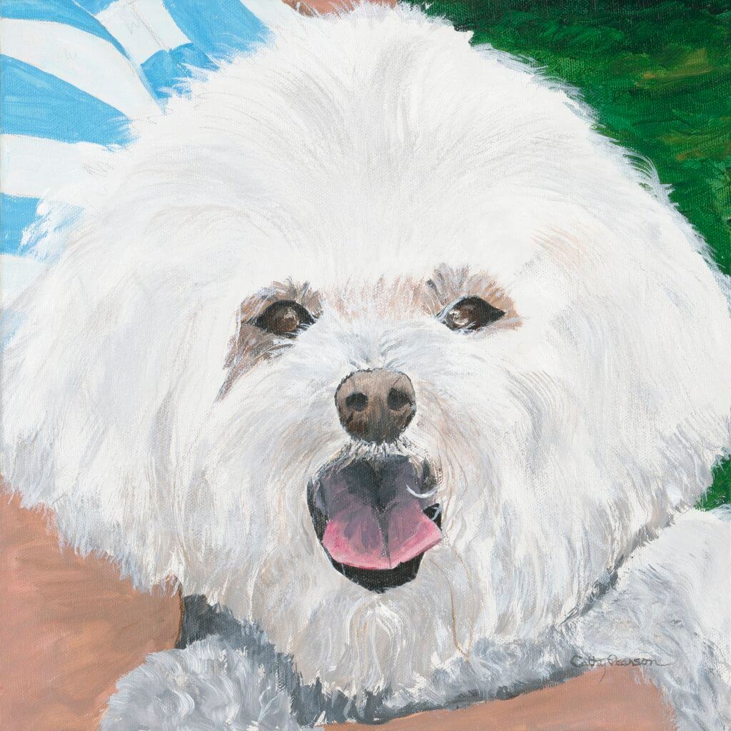 You Are Invited To The Small Paws® Rescue 25th Anniversary Bichon Bash ...